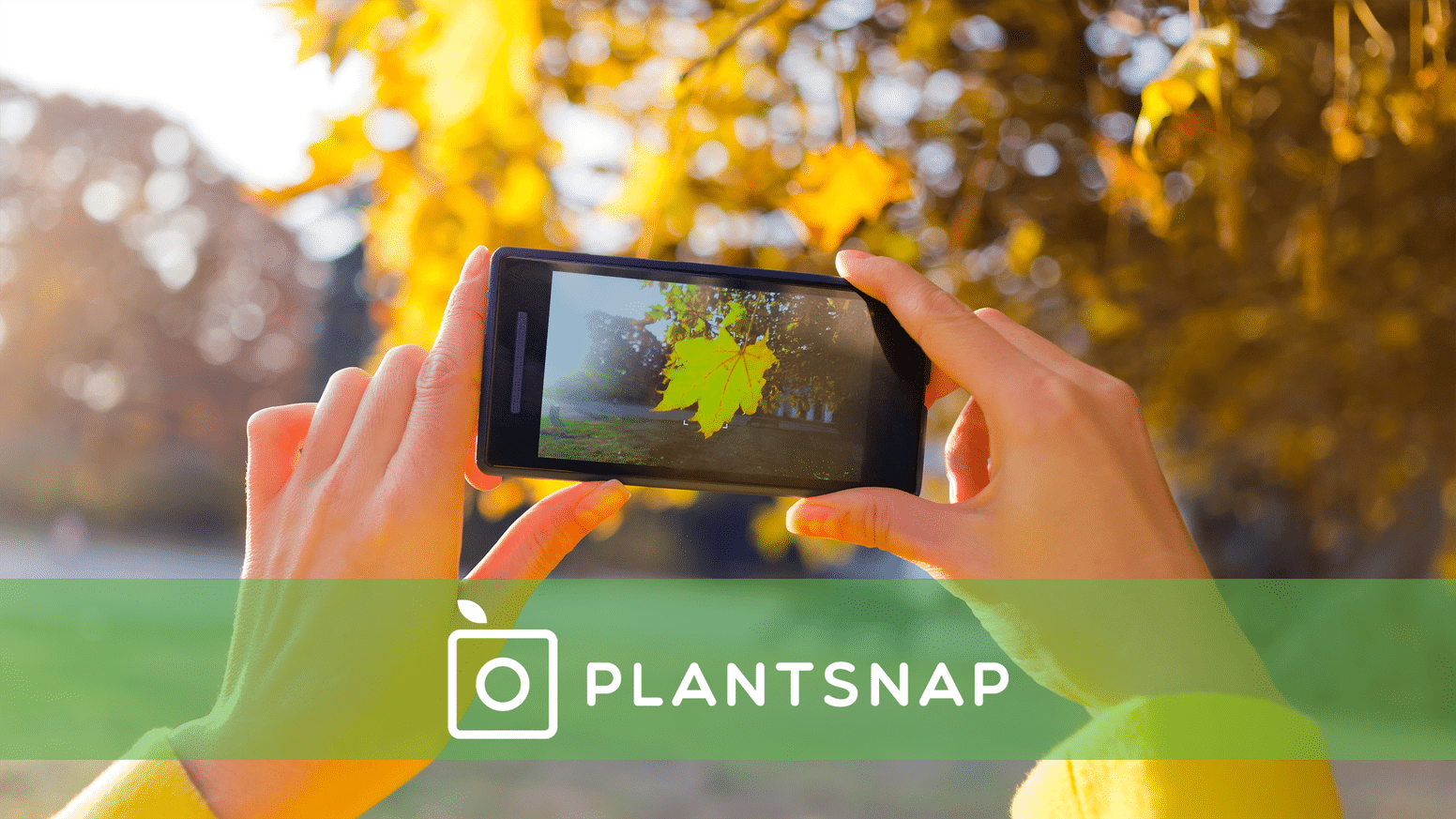 O ek van Mobiln Aplikace PlantSnap Ji Nyn Ke Sta en Na AppGallery o-ek-van-mobiln-aplikace-plantsnap-ji-nyn-ke-sta-en-na-appgallery